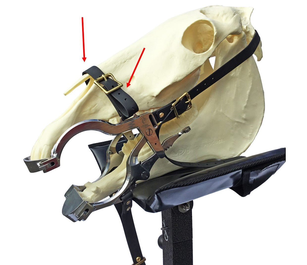 Biothane Straps - Nose Strap – The Edge Equine