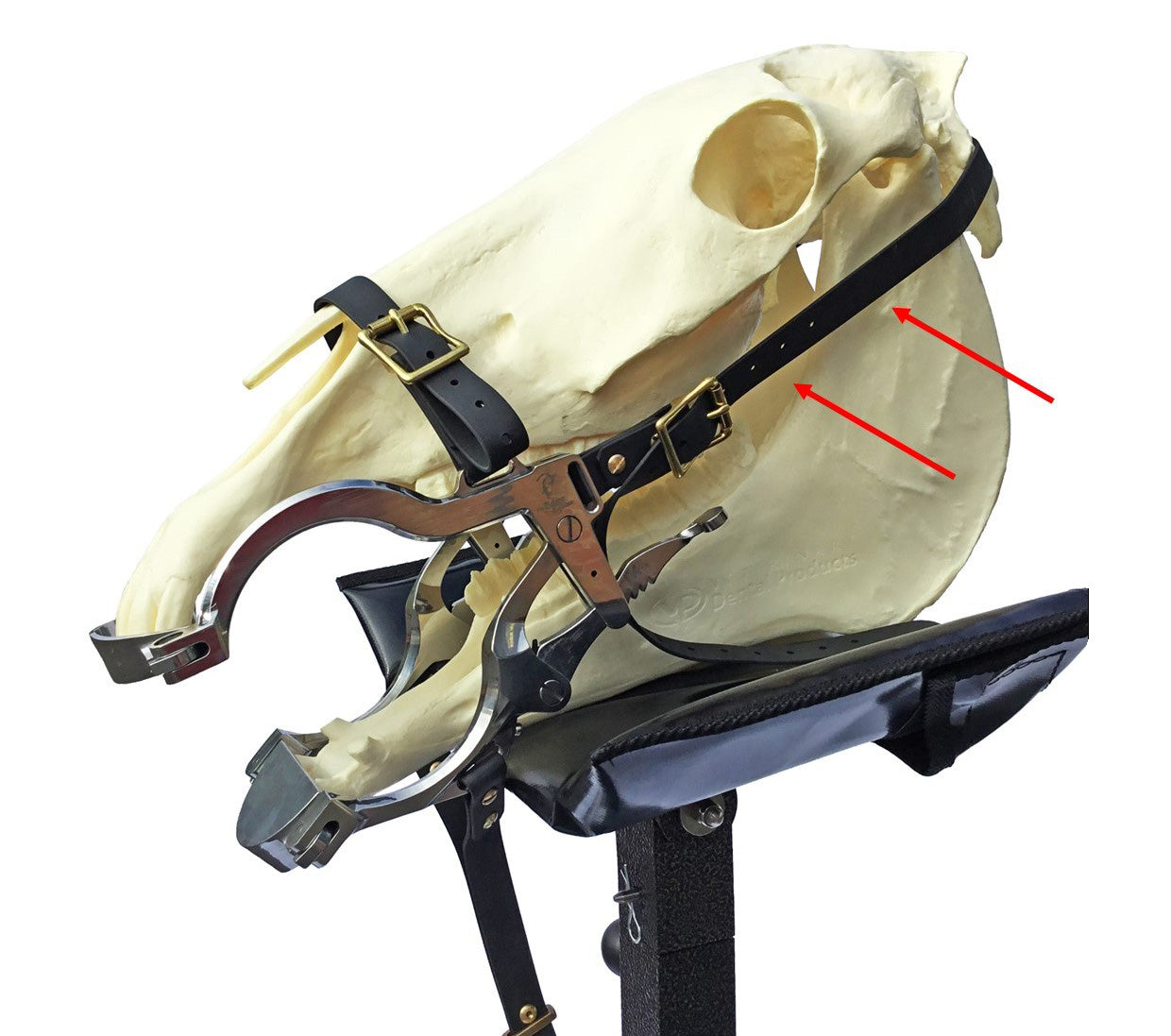 Biothane Straps - Poll Strap only – The Edge Equine