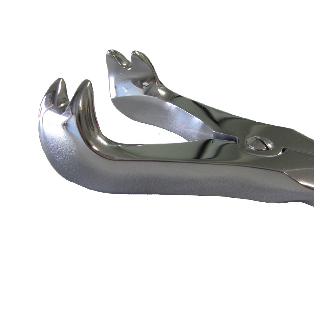 Compound Forceps 4 Prong – The Edge Equine