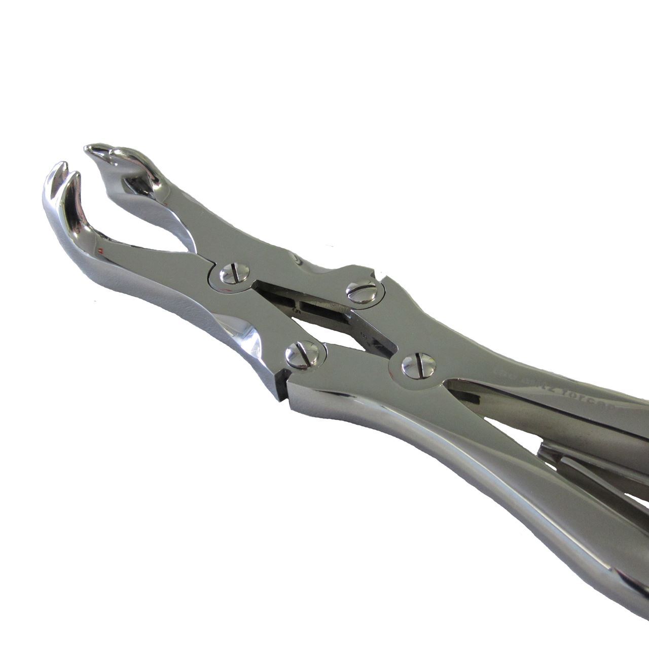 Compound Forceps 4 Prong – The Edge Equine