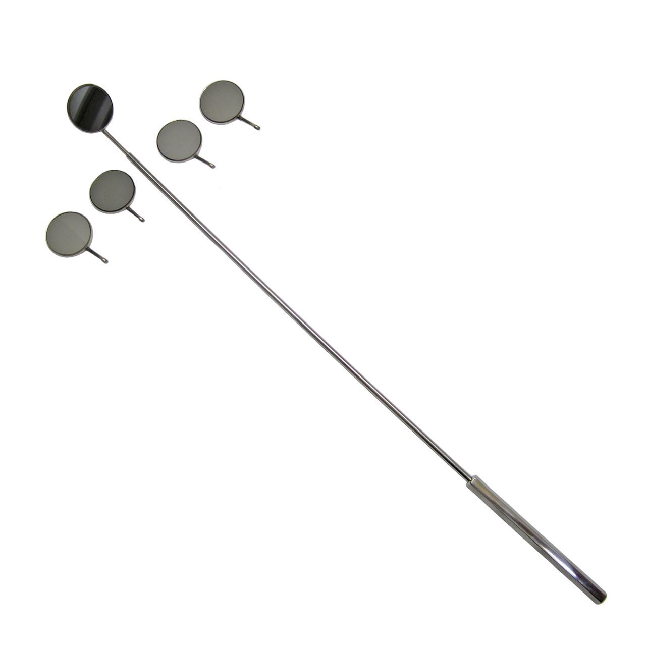 Mouth Mirror, Small with Interchangeable Heads – The Edge Equine