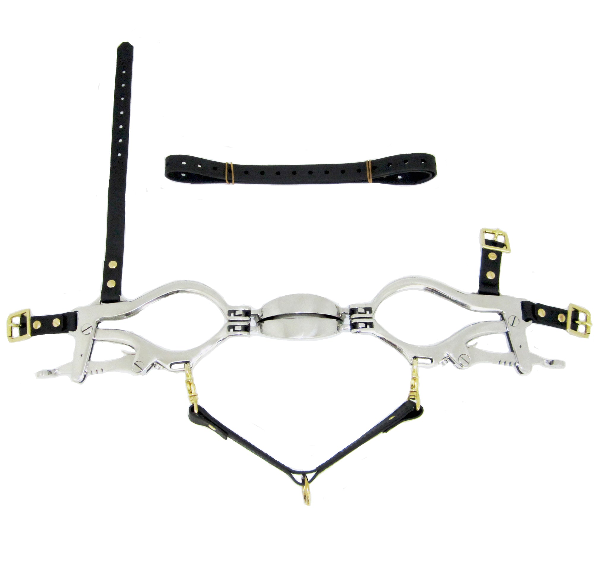 Biothane Straps Replacement Set – The Edge Equine